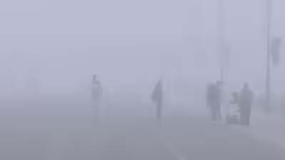 Japan Issues Emergency Warning After 6.6 Magnitude Earthquake - Sanj ...